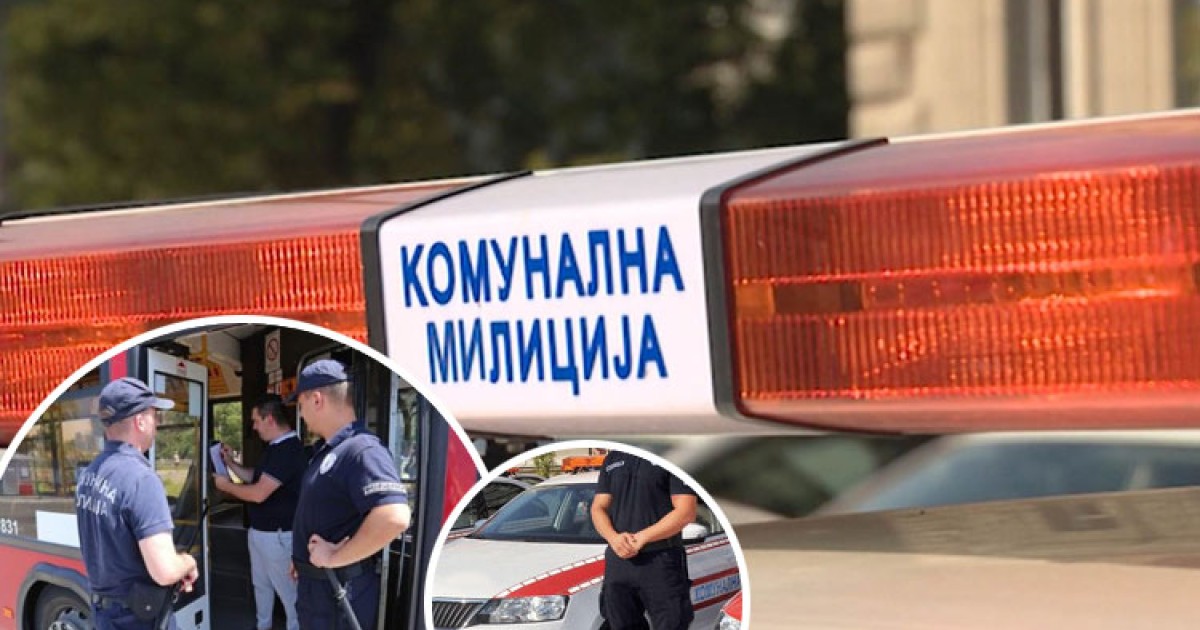 Komunalna milicija uskoro i na subotičkim ulicama | (Vesti - 13. 02 ...