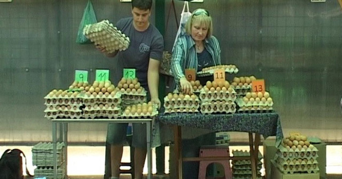 Prodaja jaja i ribe opala za 40 odsto | (Vesti - 03. 05. 2013) Subotica.com