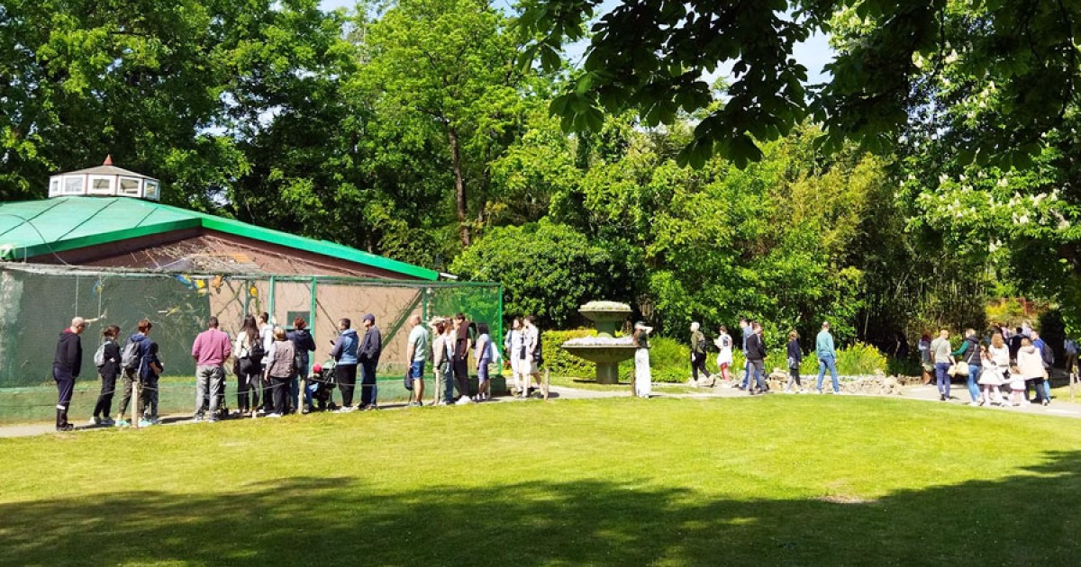 Novo dečje igralište, učionica na otvorenom i "baby zoo" u zoo-vrtu na ...