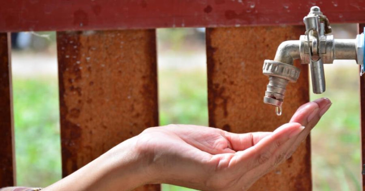 Apel za racionalno korišćenje vode, tropske temperature u narednih nedelju dana | (Vesti - 12 ...