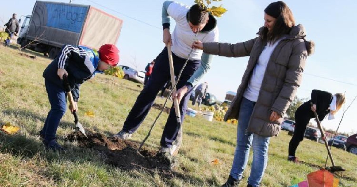 Novo oplemenjavanje životne sredine u nedelju - sadiće se preko 400 ...