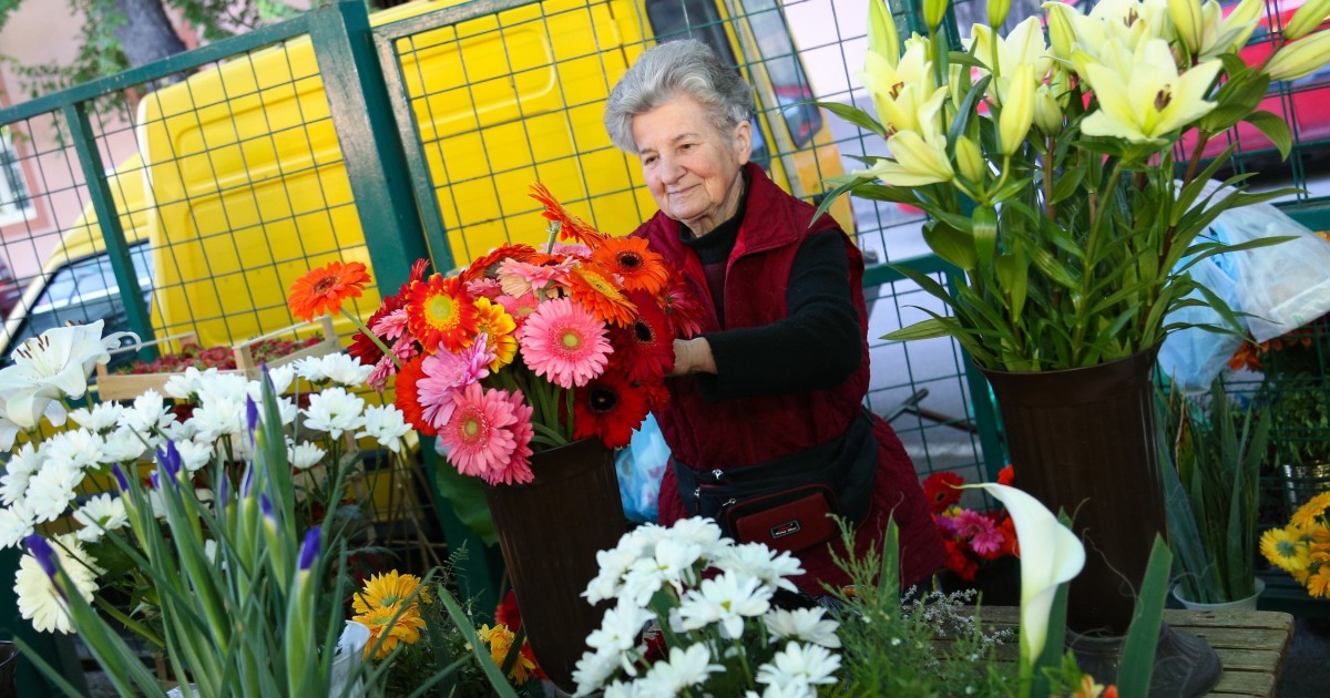 Robert Barna, Mlečna pijaca | Pijaca Subotica