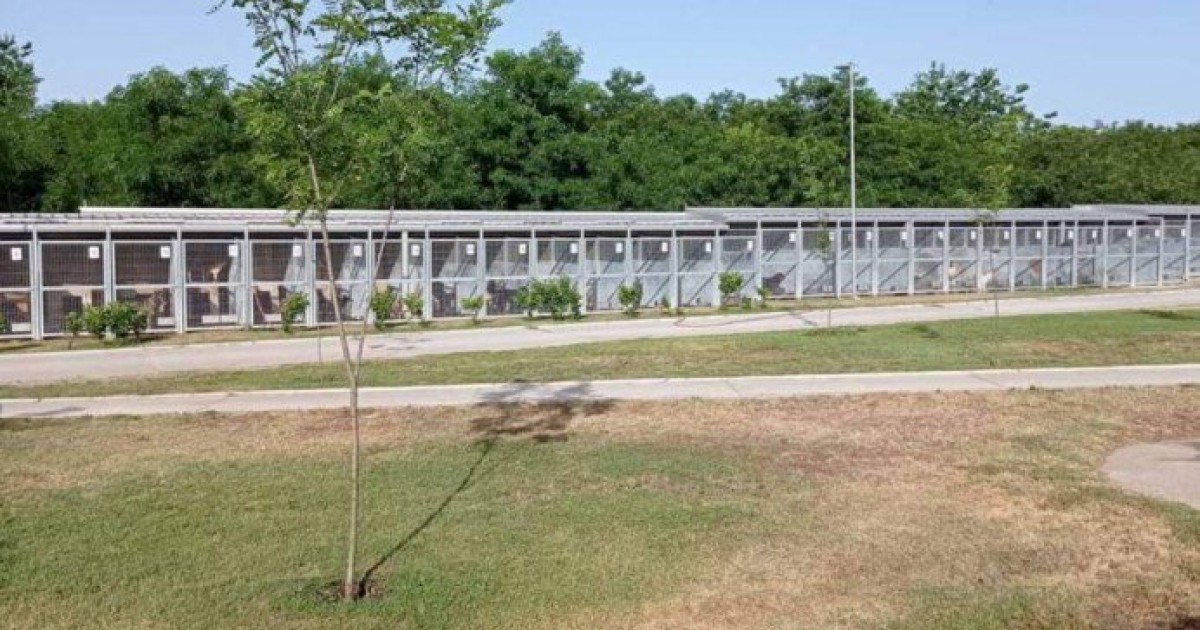 Gradski azil za pse i mačke na +40 | (Zviždaljka #11108)