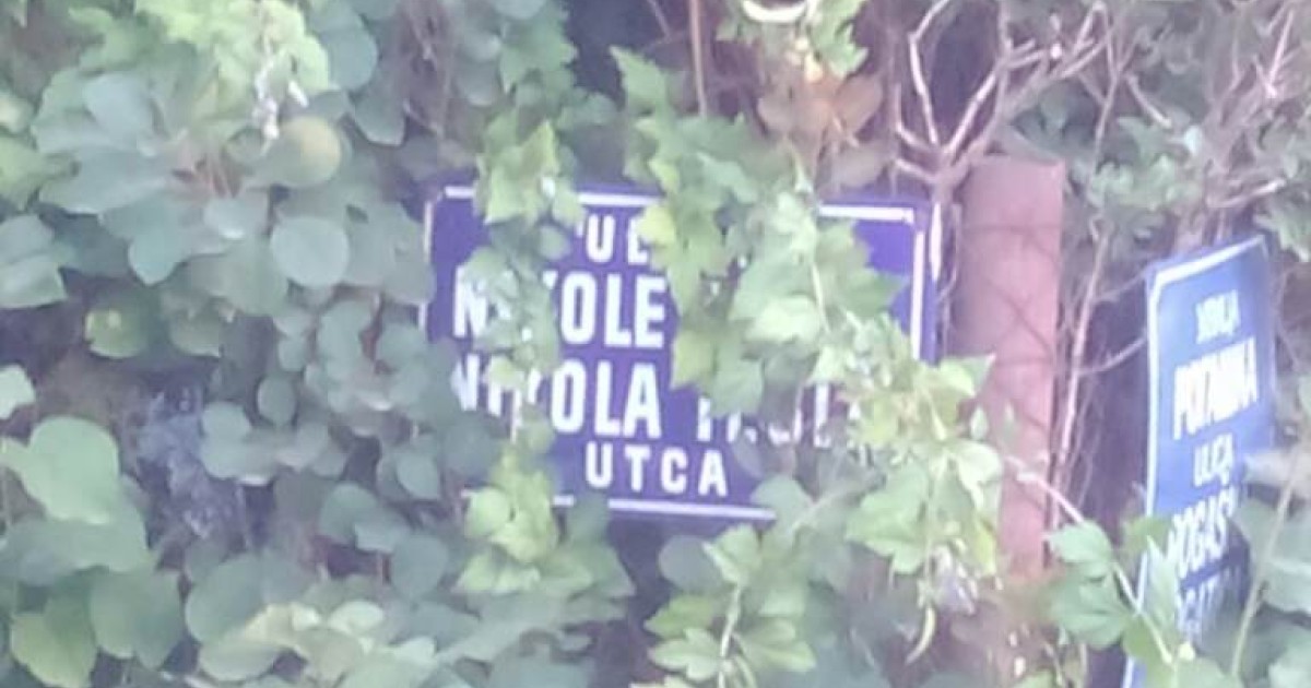 Tabla sa nazivom ulice Nikole Tesle na Paliću | (Zviždaljka #11346)