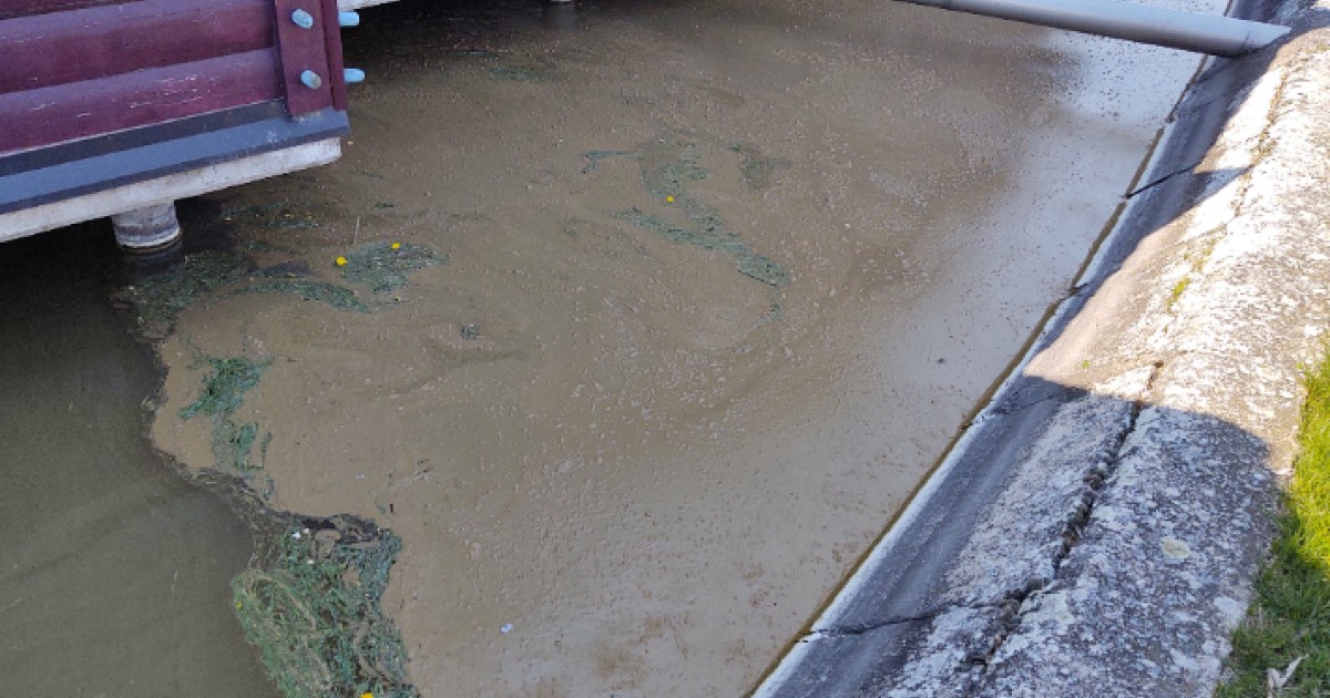 Prljava voda palićkog jezera | (Zviždaljka #9527)