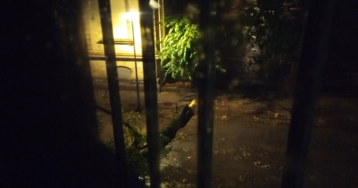 Oborena velika grana sa stabla usled nevremena | (Zviždaljka #16932)