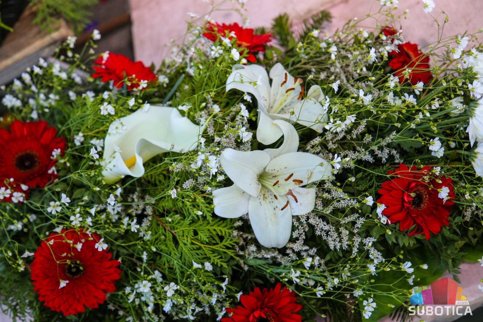 Robert Barna, Mlečna pijaca | Pijaca Subotica