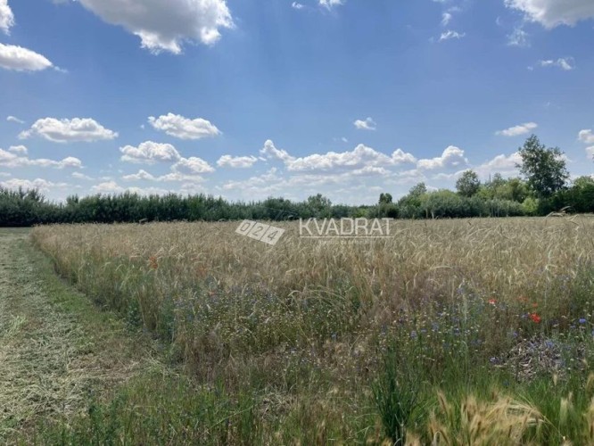 Plac, Makova Sedmica, 1430a (ID: 131091) | Nekretnine Subotica