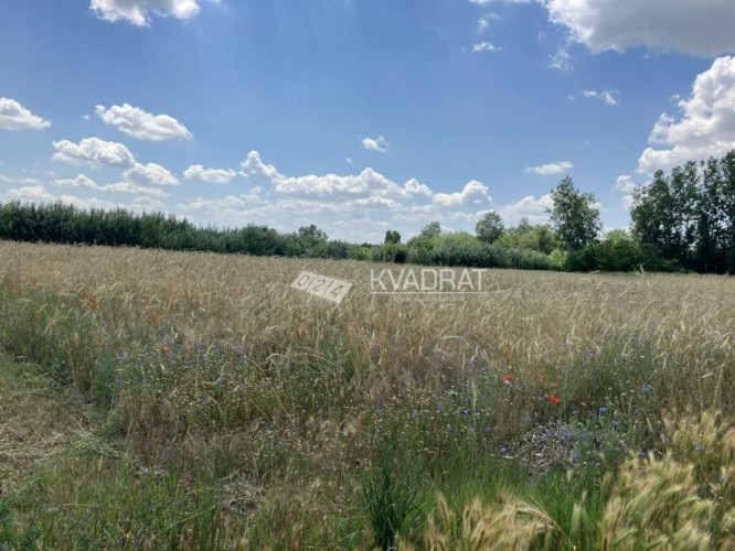 Plac, Makova Sedmica, 1430a (ID: 131091) | Nekretnine Subotica