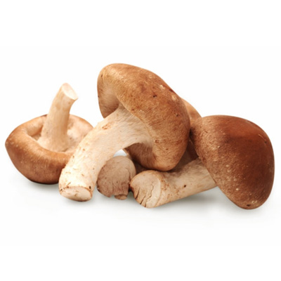 Šitake pečurke | Pijaca Subotica