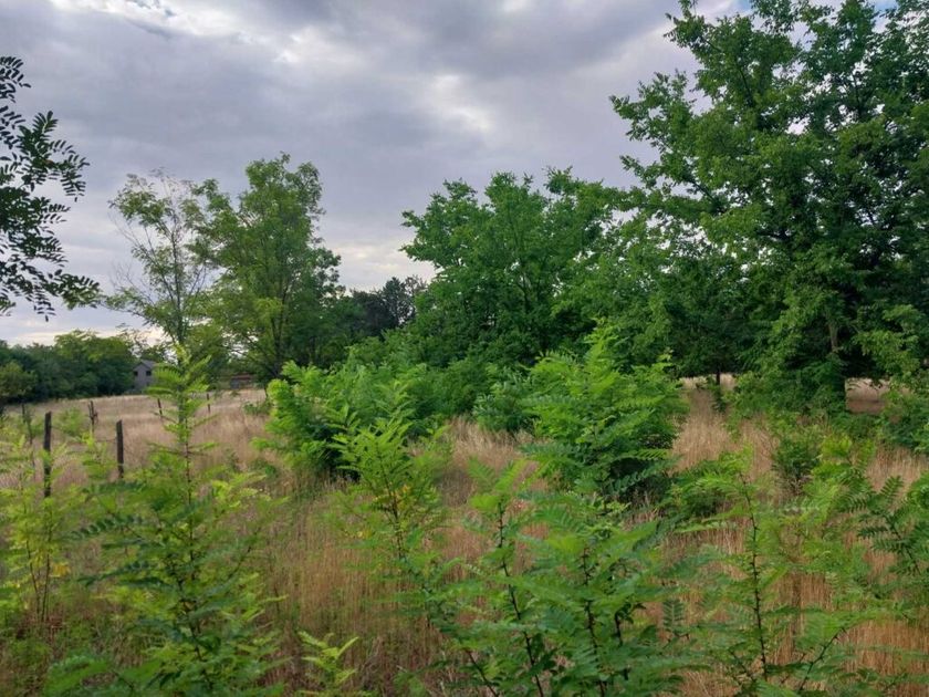 Plac, Makova Sedmica, 17.83a (ID: 105569) | Nekretnine Subotica