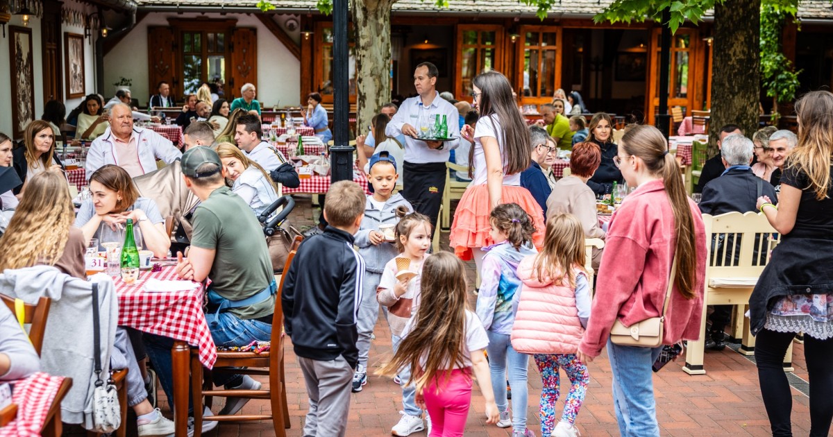 [FOTO] Prvomajski piknik - Salaš vinarije Zvonko Bogdan (01. maj 2024.) | Subotica.com