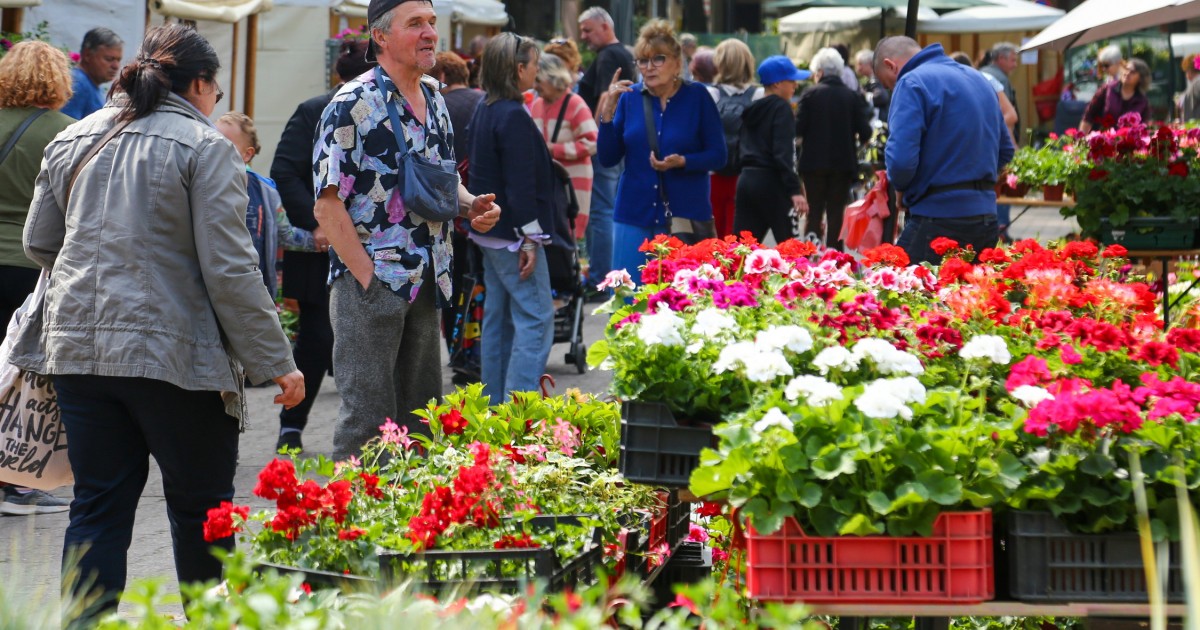[FOTO] 23. sajam cveća "Garden flora" - Gradski trg (24. april 2025 ...